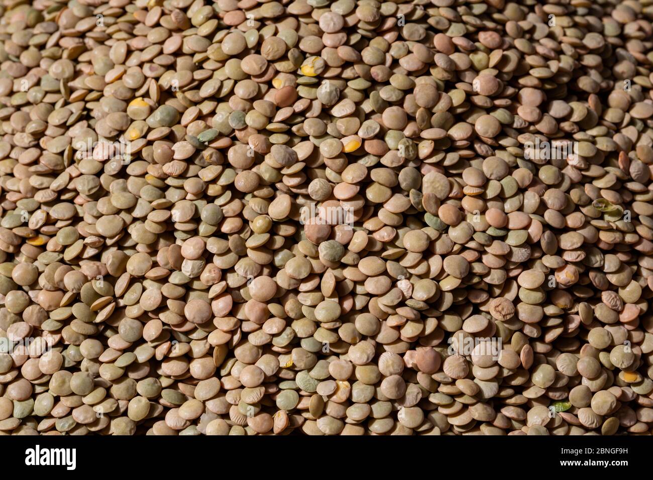 Pile of green lentil grains background surface texture Stock Photo - Alamy
