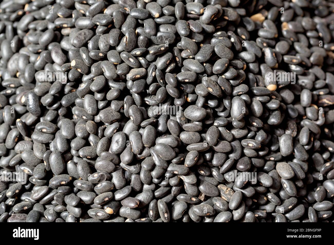 Pisolith hi-res stock photography and images - Alamy