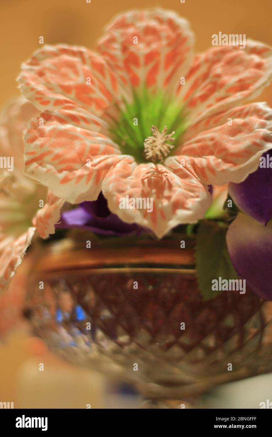 decorate the room inside the house with attractive and beautiful ...