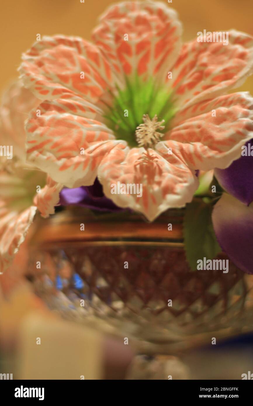 decorate the room inside the house with attractive and beautiful ...