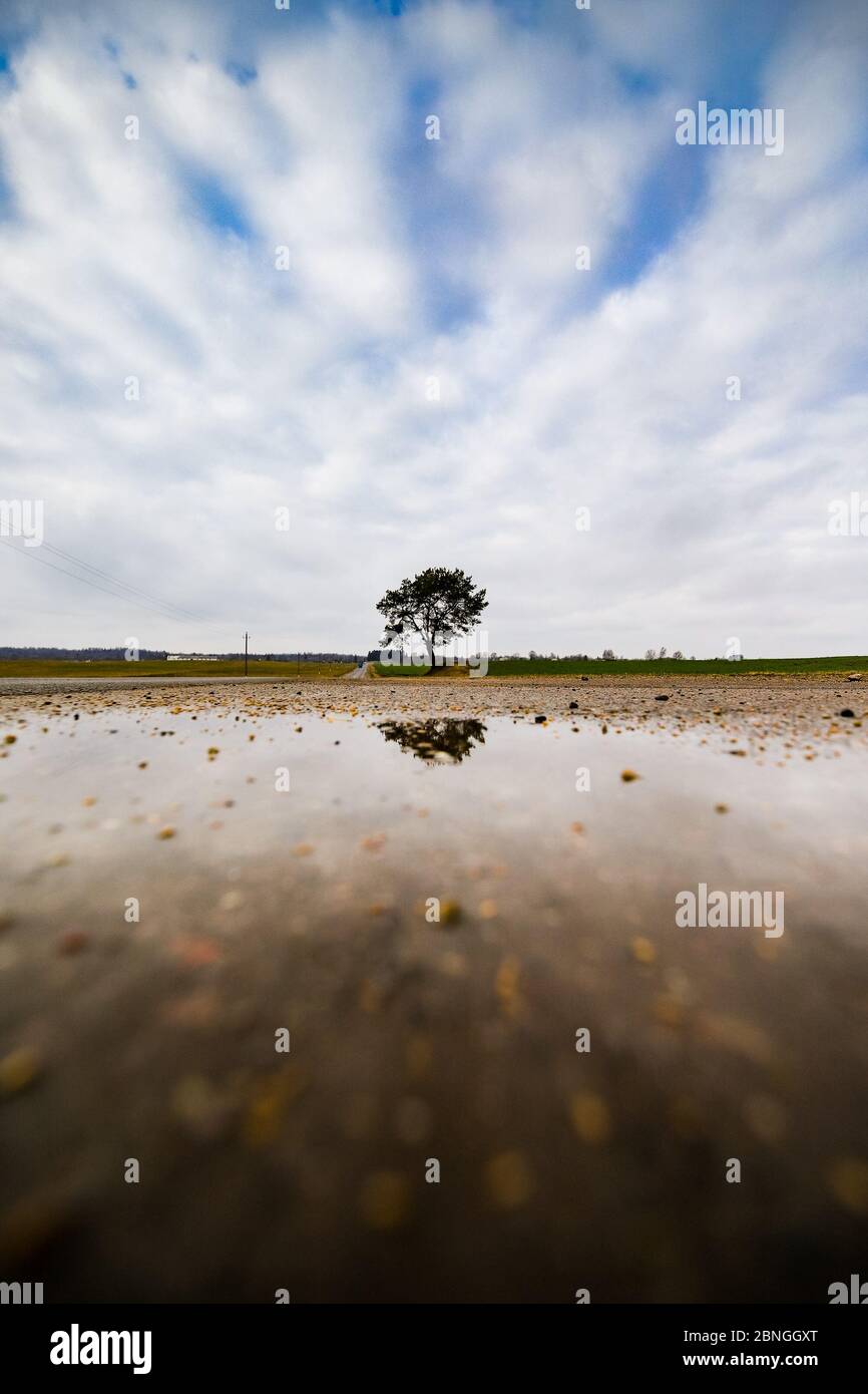 highway landscape with tree and road Stock Photo - Alamy
