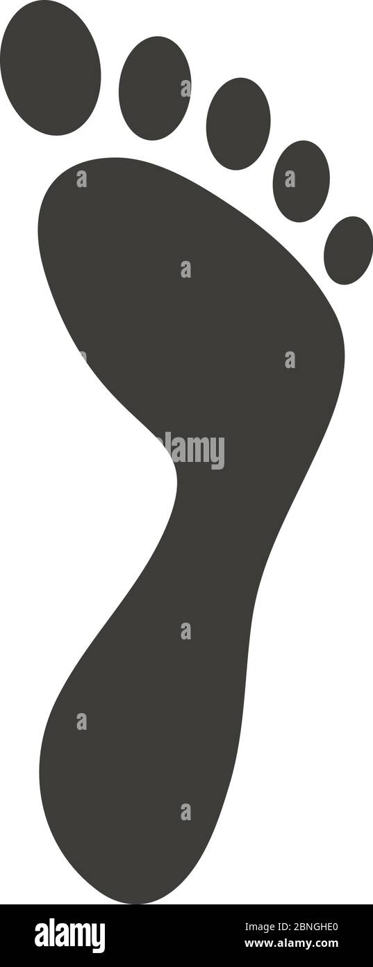 Human foot anatomy Stock Vector Images - Alamy