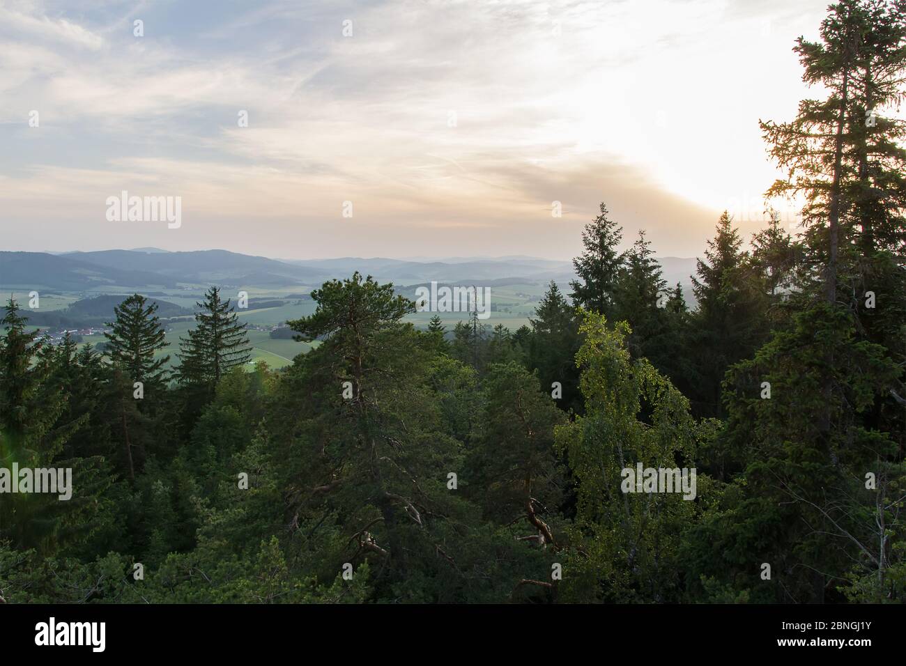 Nice sunset with trees and valley, czech landscape Stock Photo - Alamy