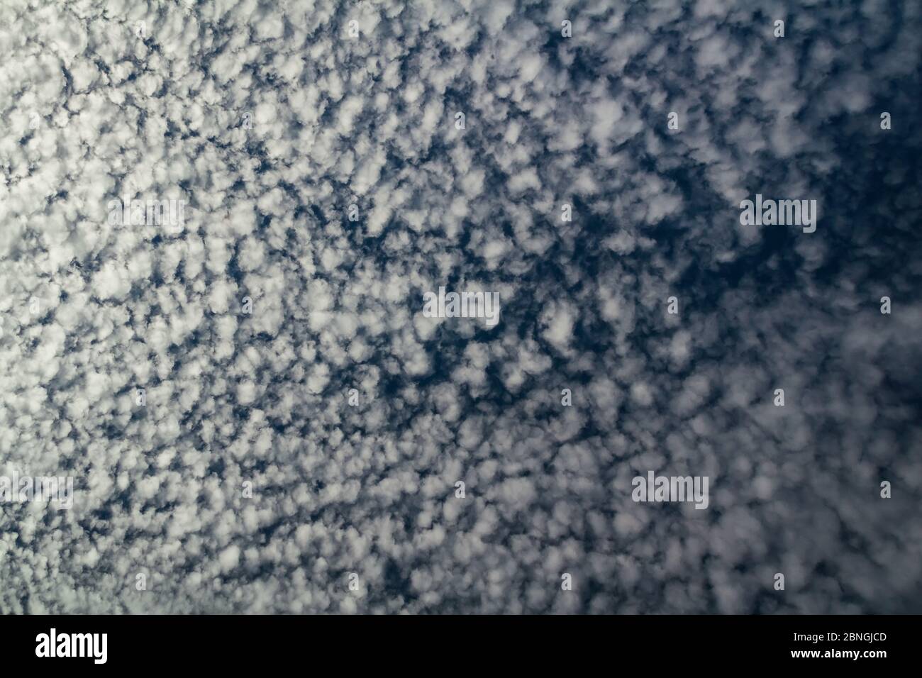 Nice small white cumulus cloud on blue sky Stock Photo - Alamy