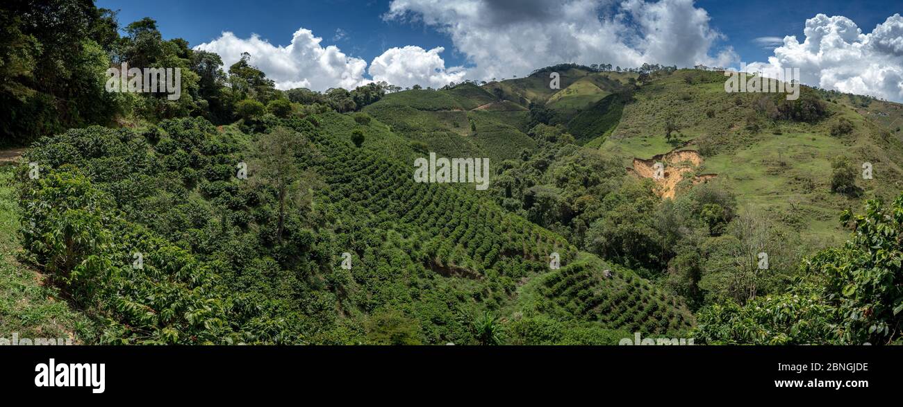 Panoramic view of hills covered in greenery under the sunlight and a ...