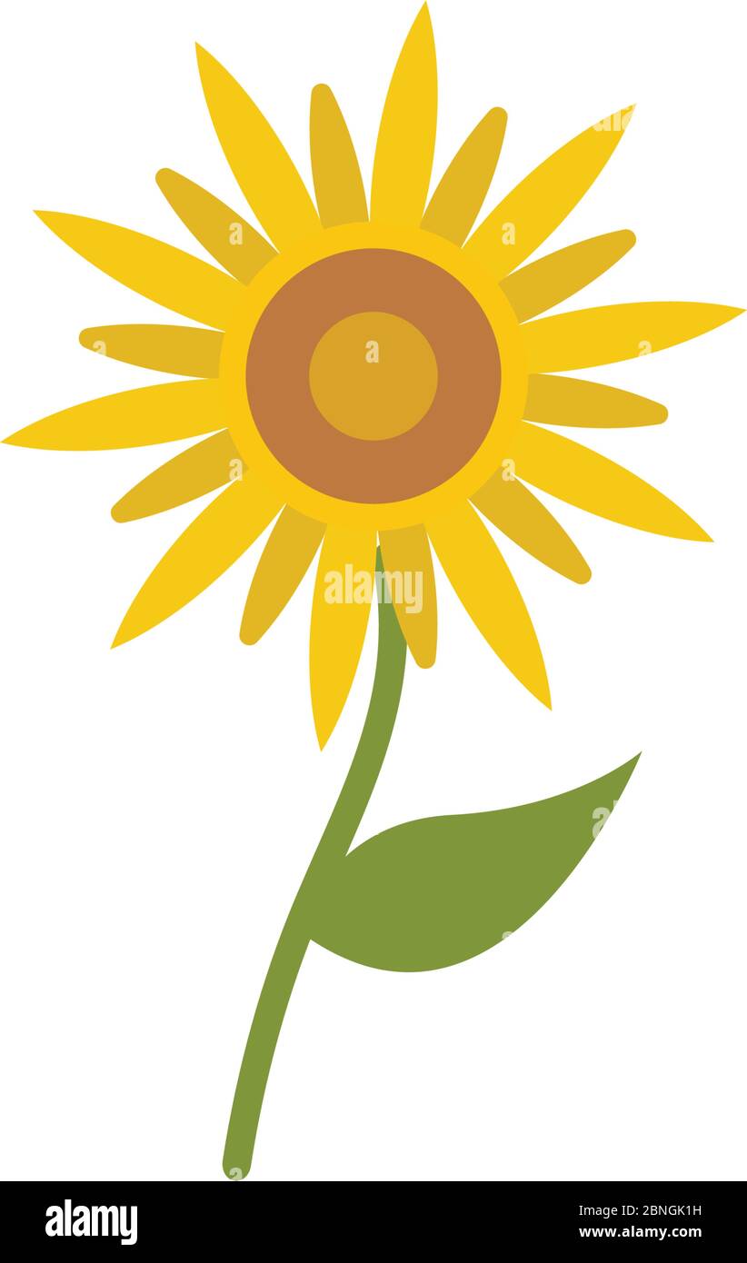 Sunflower seed vector hi-res stock photography and images - Alamy