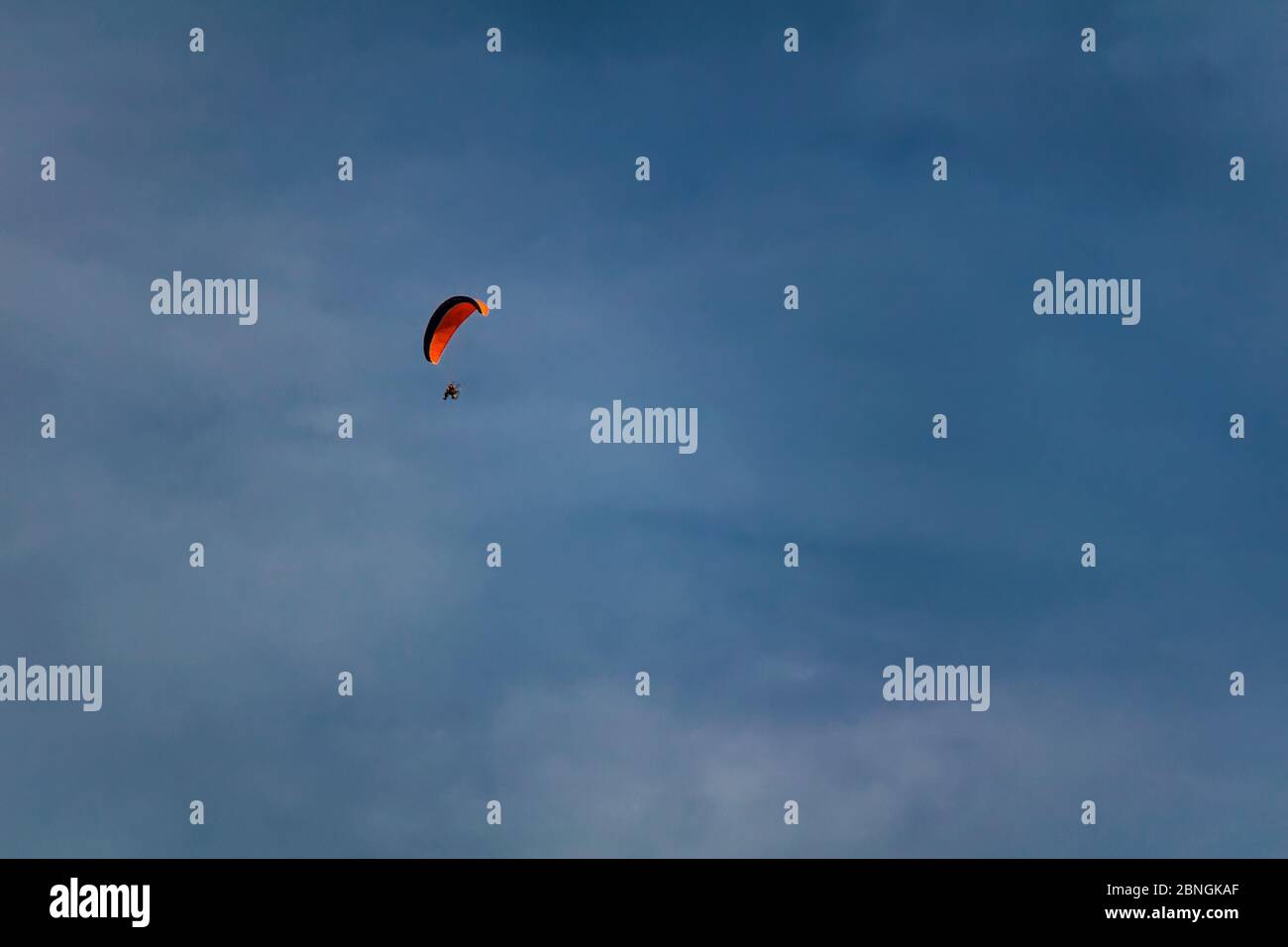 Professional skydiver fly on parachute hi-res stock photography and ...