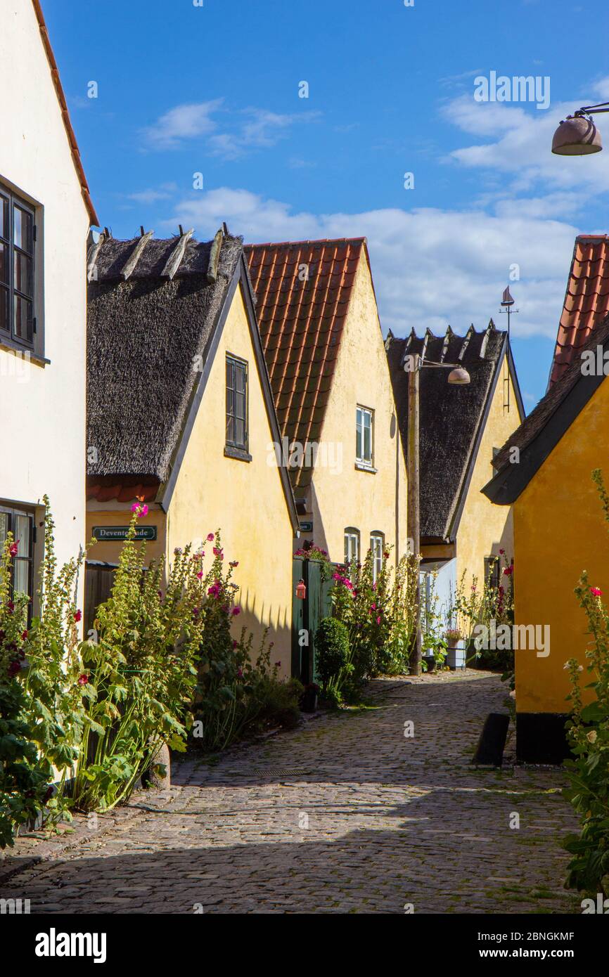 old yellow houses of old town Dragor, Denmark Stock Photo - Alamy