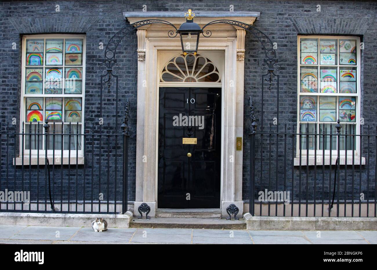 Larry the Downing Street cat and Chief mouser to the Cabinet office ...