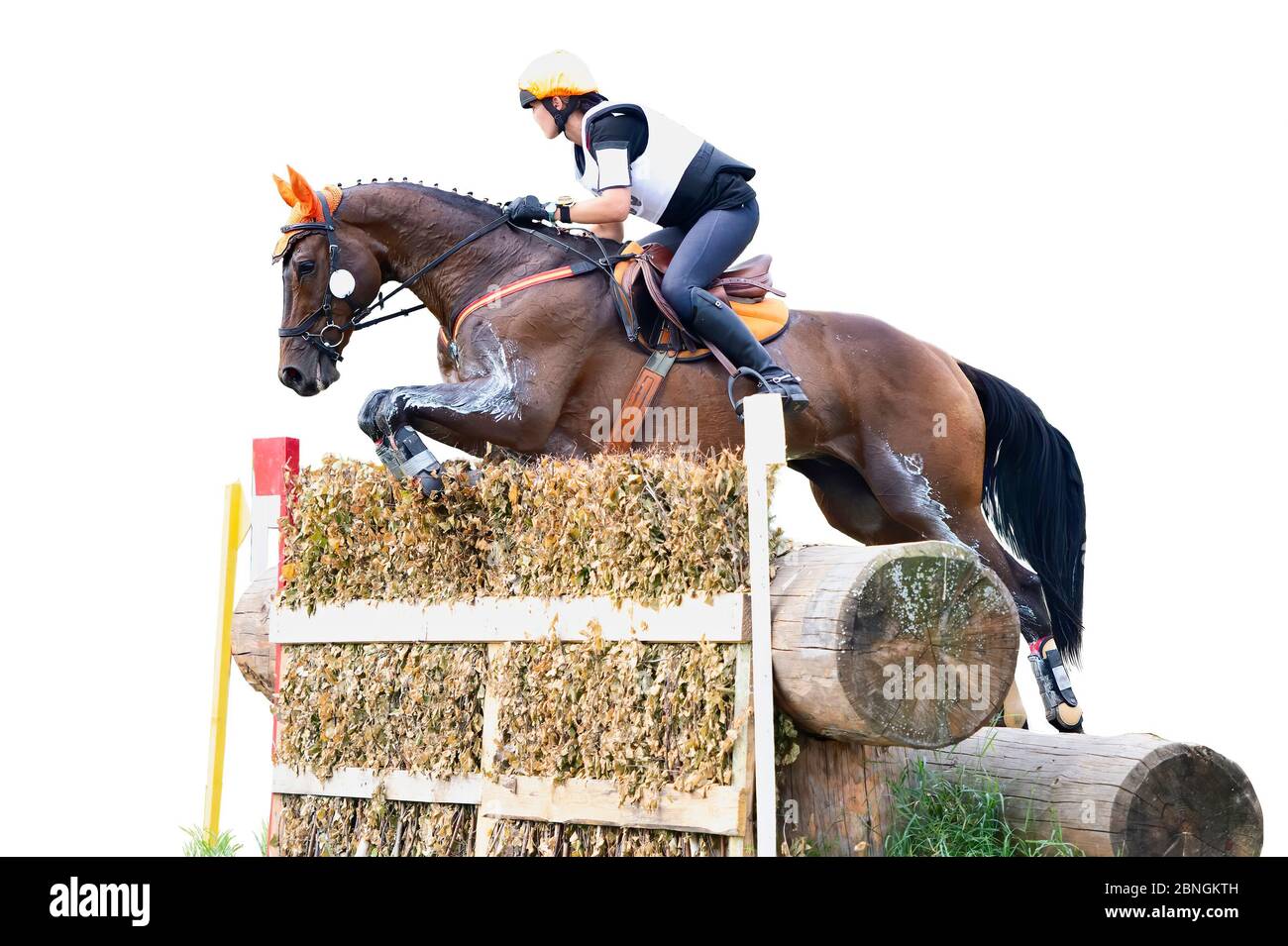 Eventing: equestrian rider jumping over an obstacle. Isolated on white ...