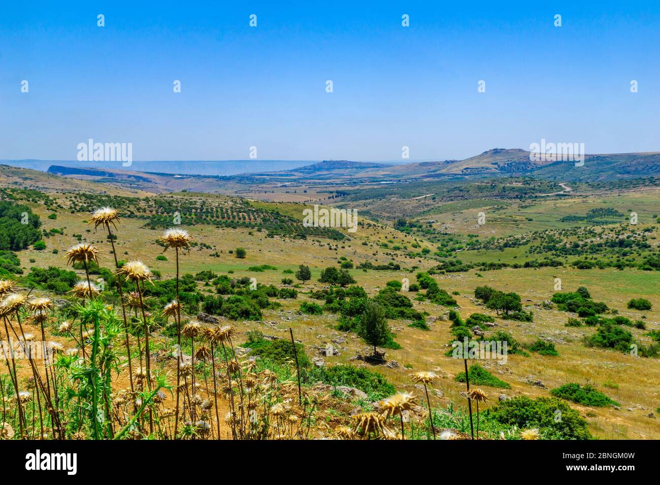 View of Galilee landscape, with mount Arbel and the Golan Heights in ...