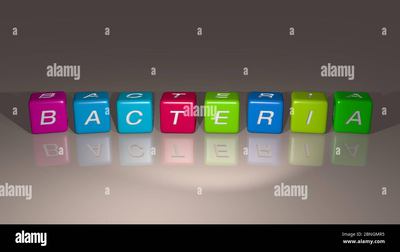 crosswords of Bacteria arranged by cubic letters on a mirror floor ...