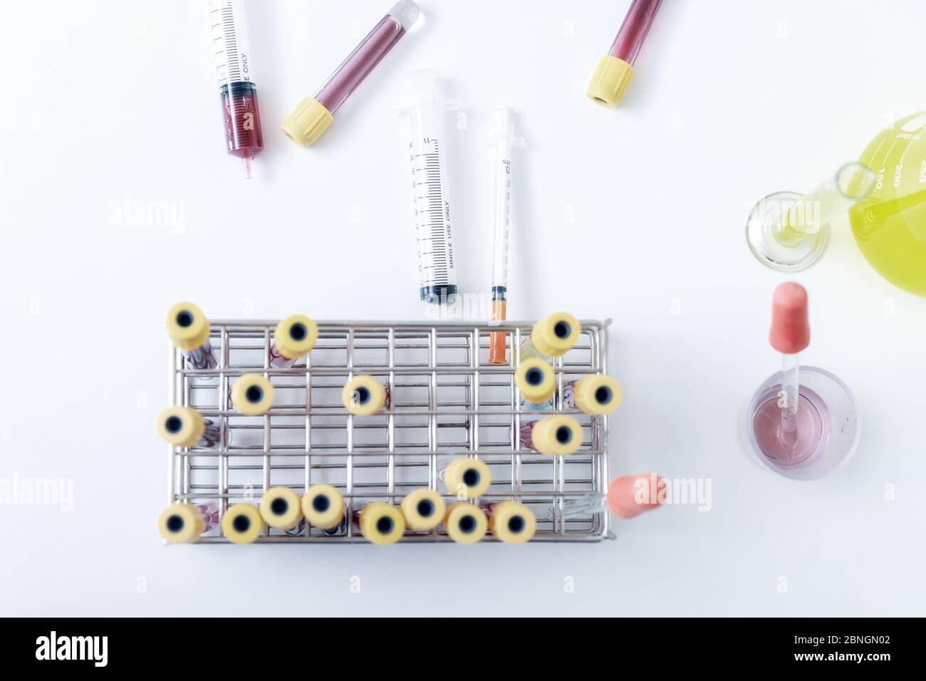 Top view of blood samples in tubes and syringes on work table in a ...