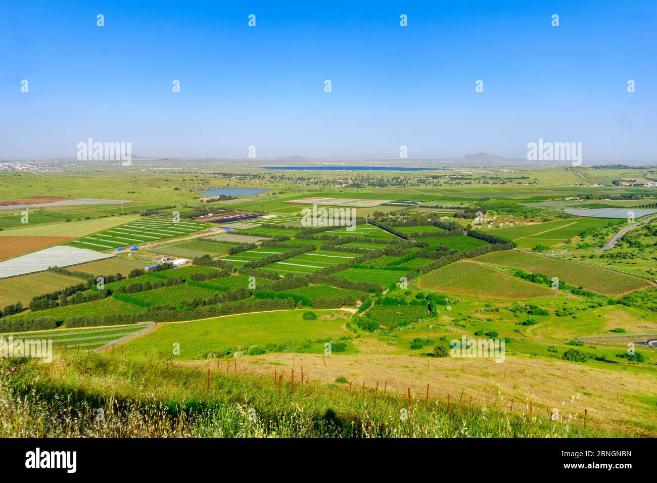 Israel syria border hi-res stock photography and images - Alamy