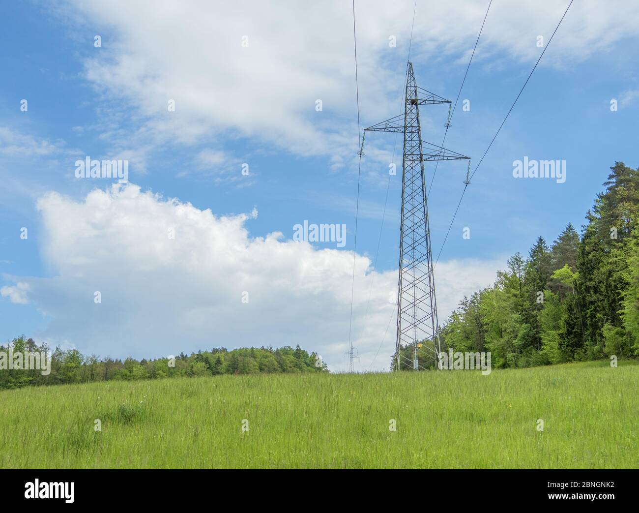 Electricity tower on a large landscape surrounded by trees Stock Photo ...