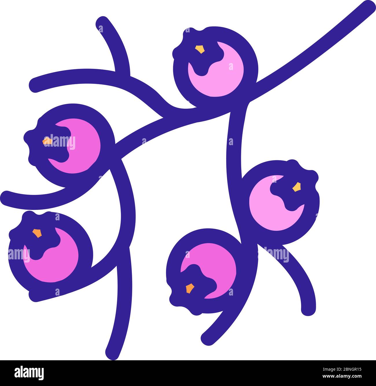 hawthorn branch icon vector outline illustration Stock Vector Image ...