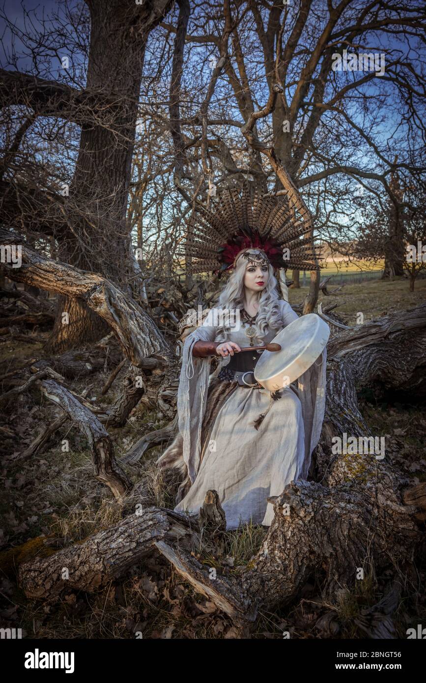 Druid cosplay hi-res stock photography and images - Alamy