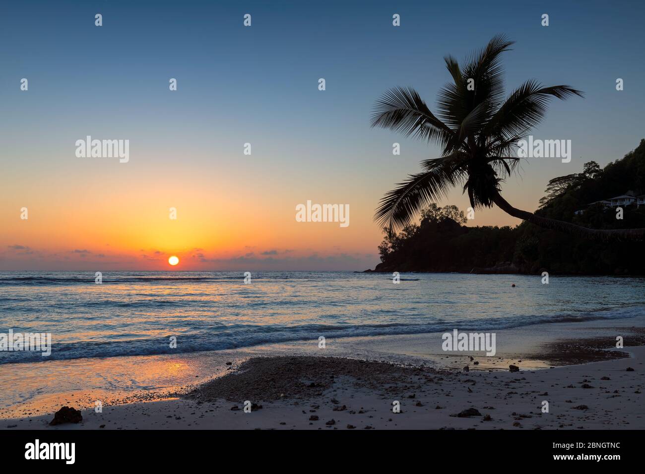 Palm tree sunset cancun mexico hi-res stock photography and images - Alamy