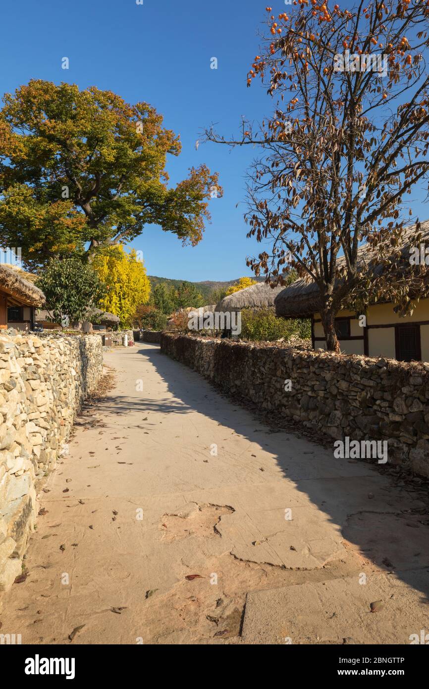 Korean traditional village and stone wall road. Traditional farm ...