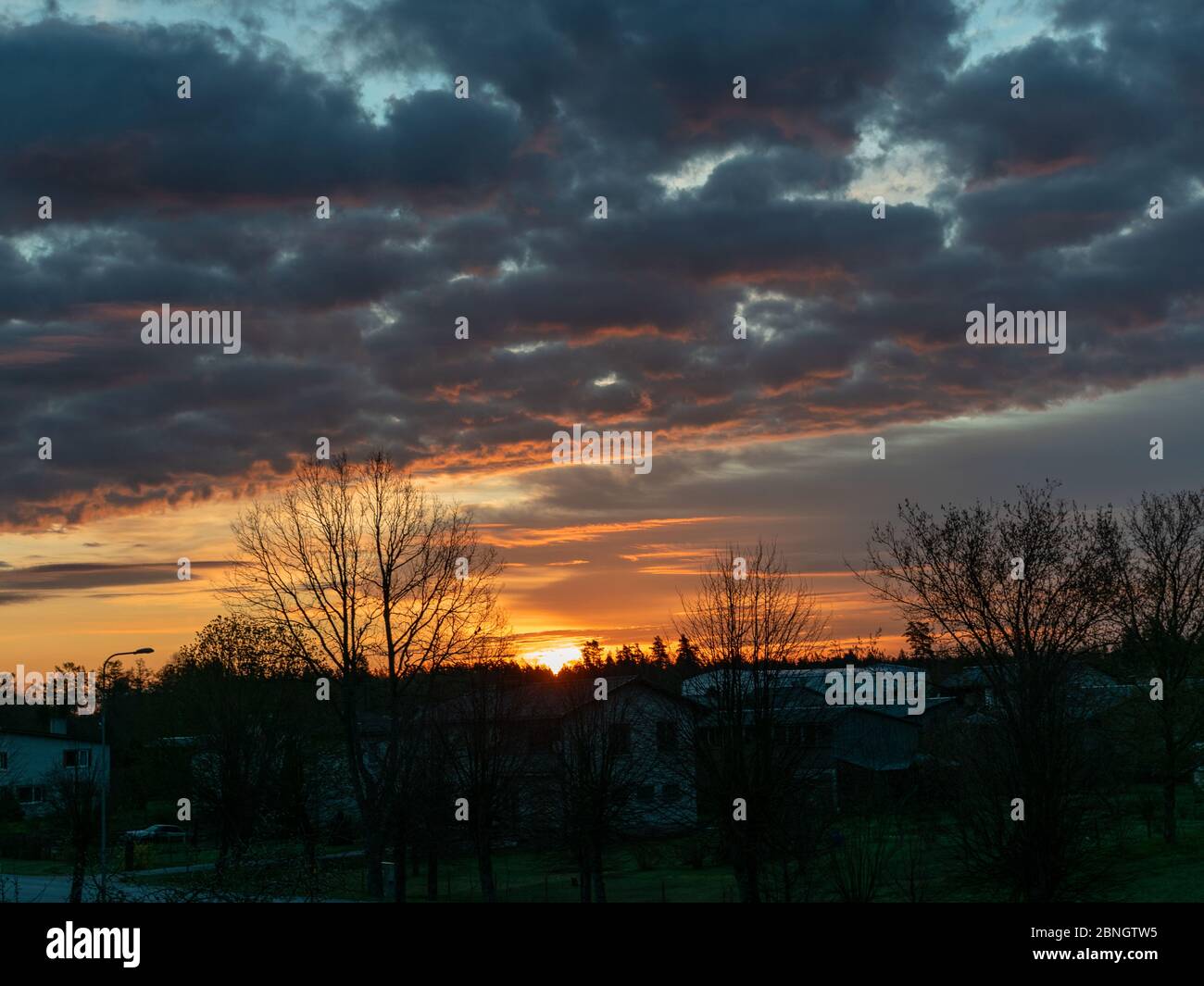 gorgeous sunset landscape over house roofs, dark tree silhouettes ...