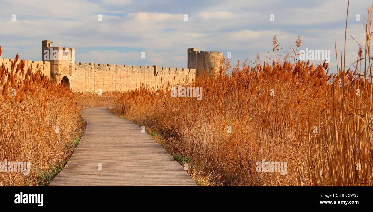 Beautiful pathway going to a castle surrounded by beautiful field Stock ...
