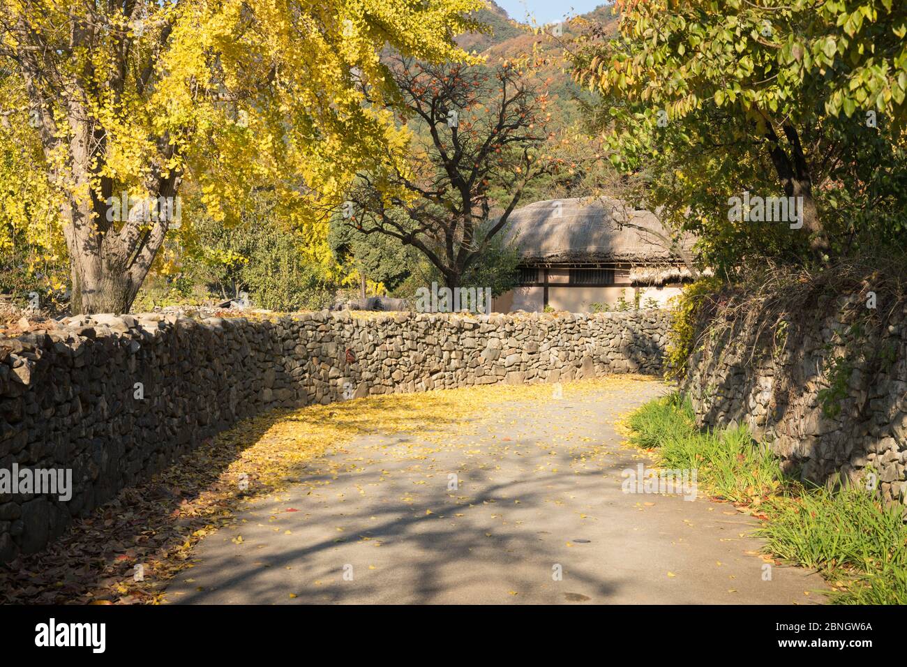 Korean traditional village and stone wall road. Traditional farm ...