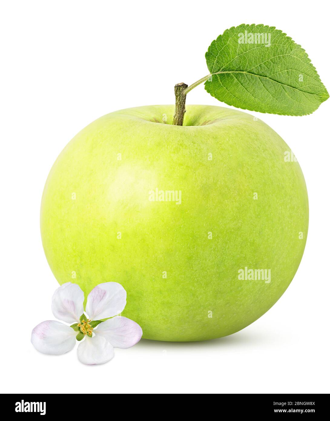 green apple with flowers isolated on white background with clipping ...