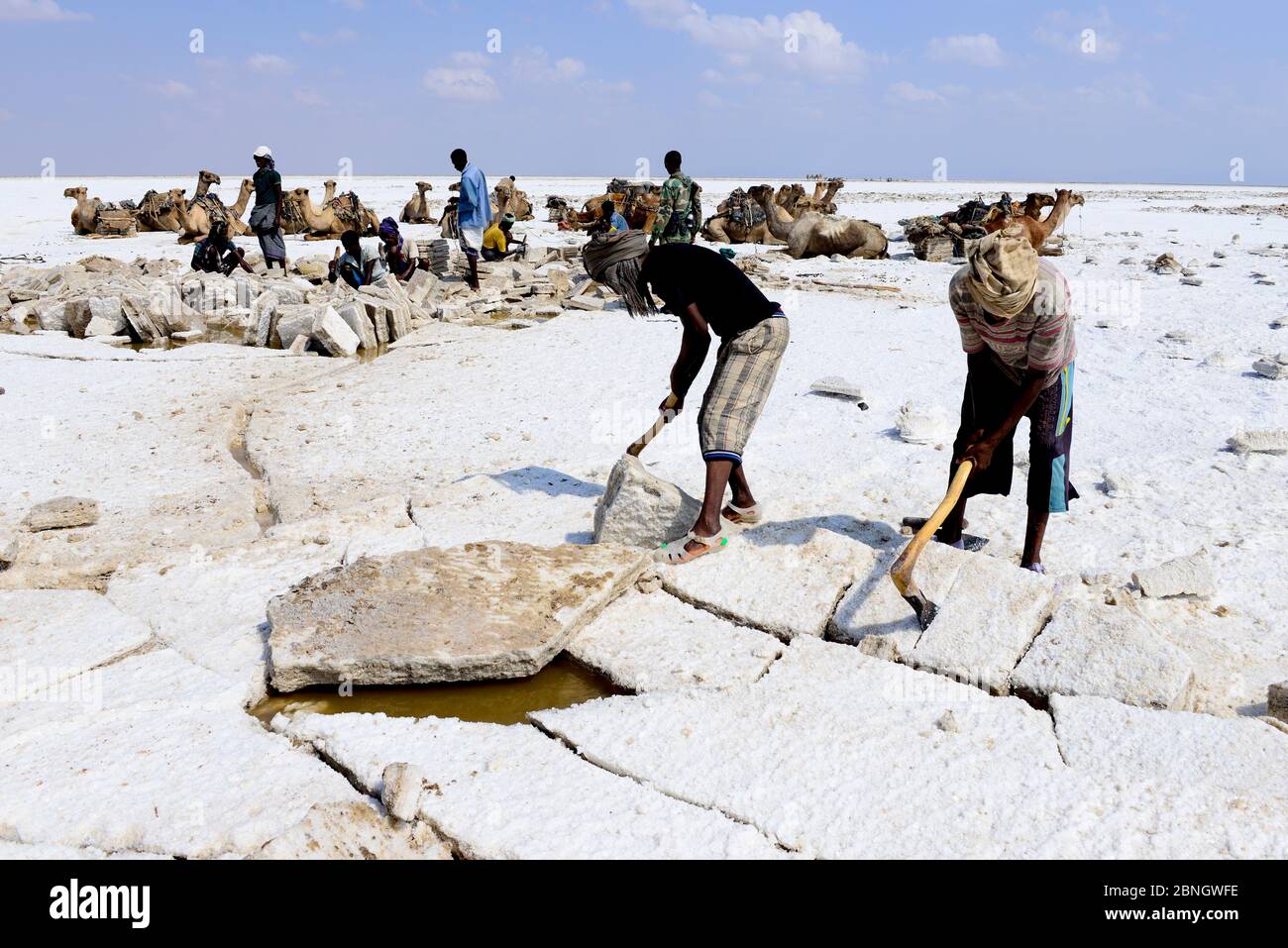 Salt blocks africa hi-res stock photography and images - Alamy
