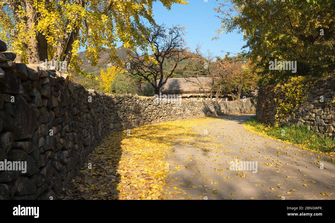 Korean traditional village and stone wall road. Traditional farm ...