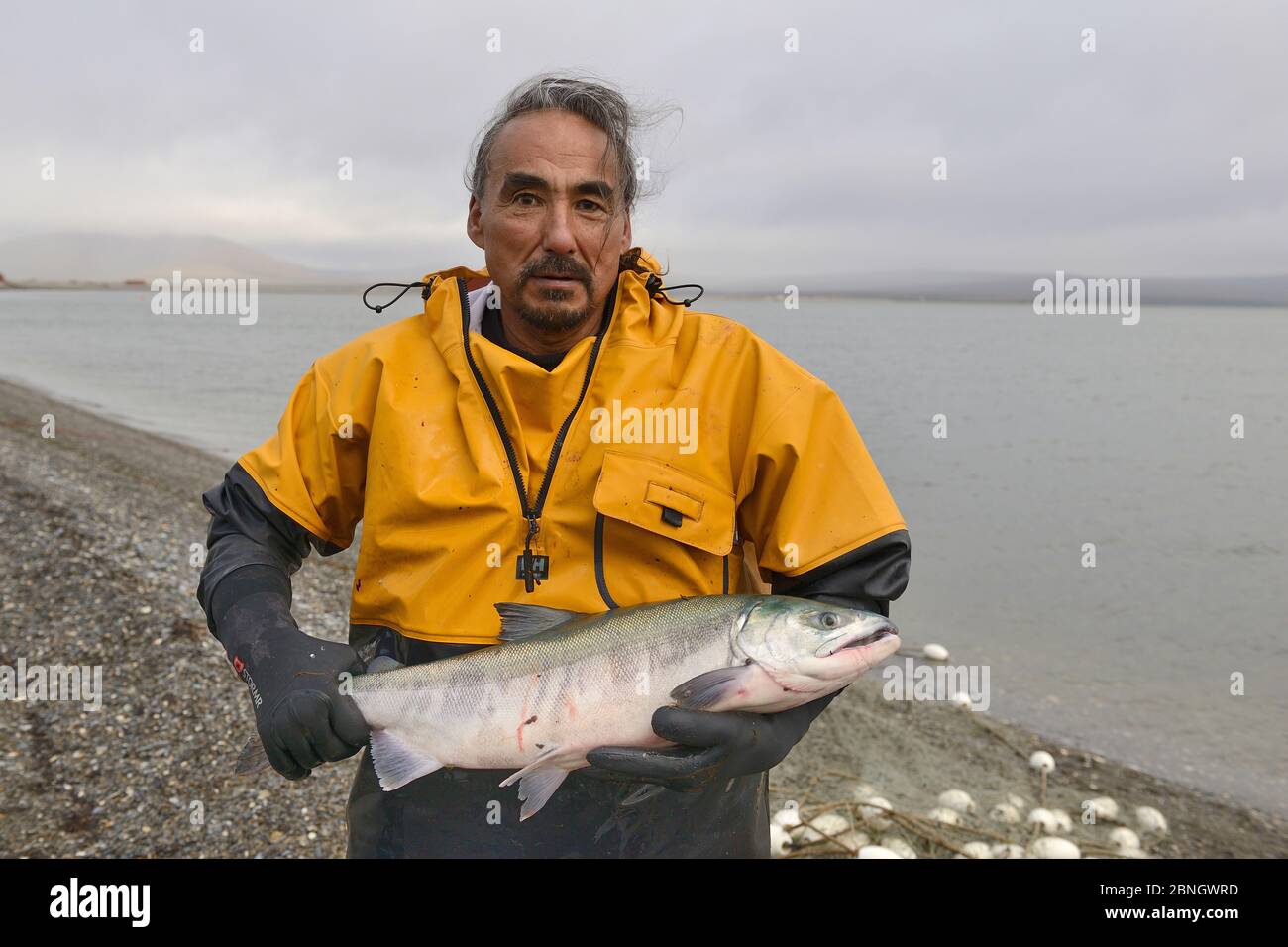 Inuit fisherman with salmon, Sewards Peninsula, Nome, Alaska, USA ...