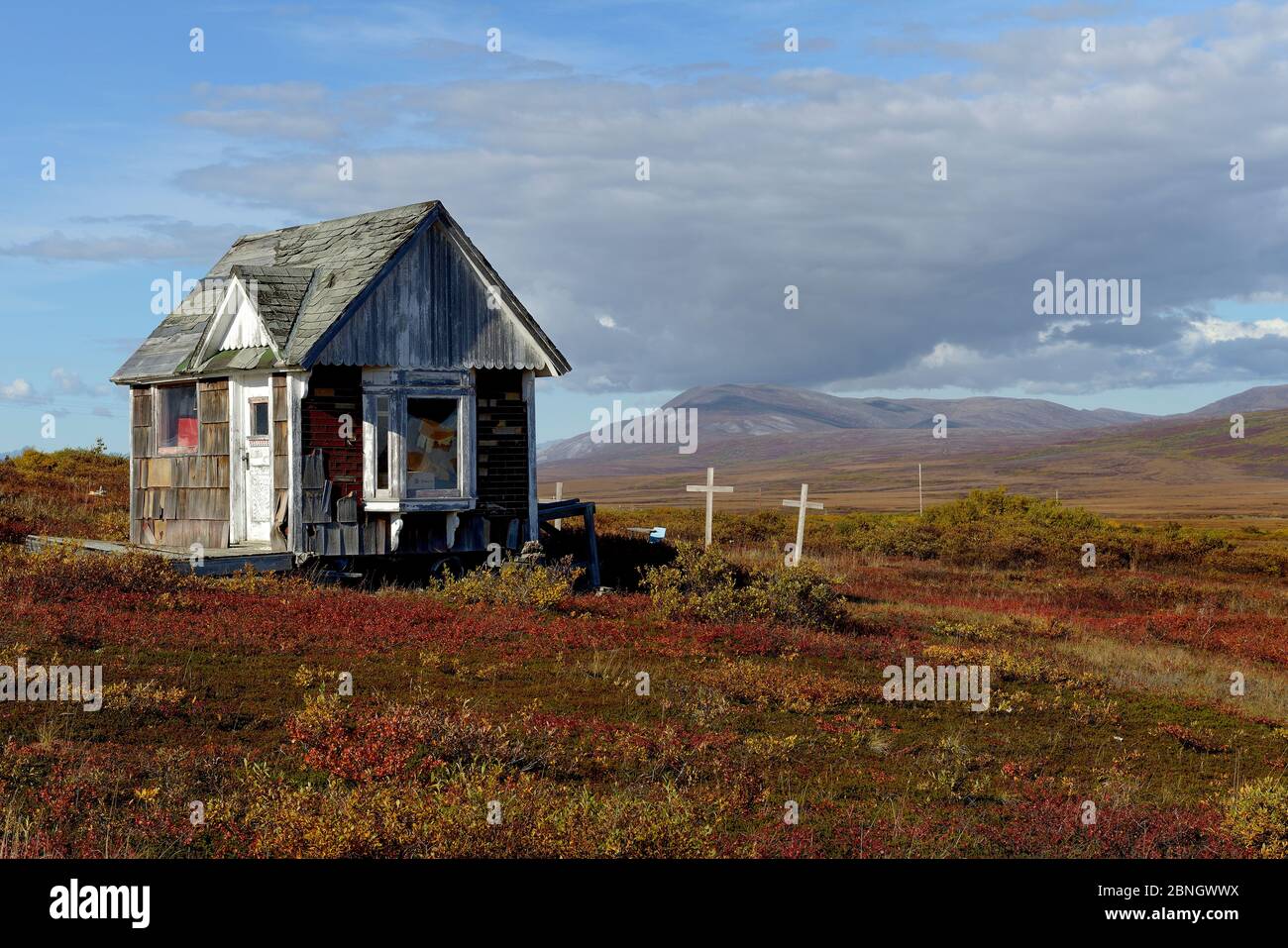 Arctic Tundra Homes Dog Houses On The Arctic Tundra | Hemmingford Dog