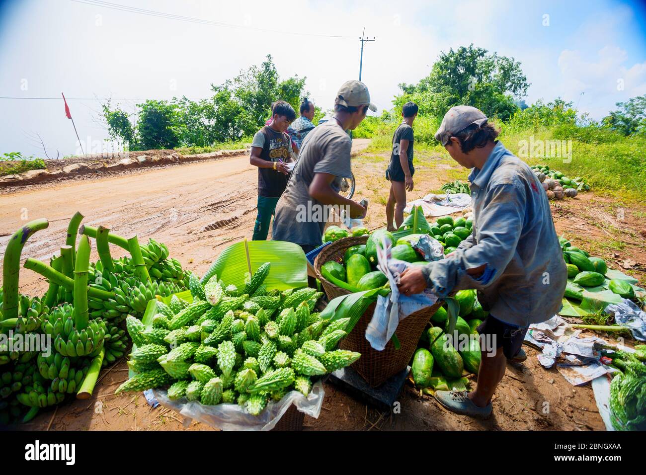 Bangladesh – October 12, 2019: The hill tribal laborers are storing ...