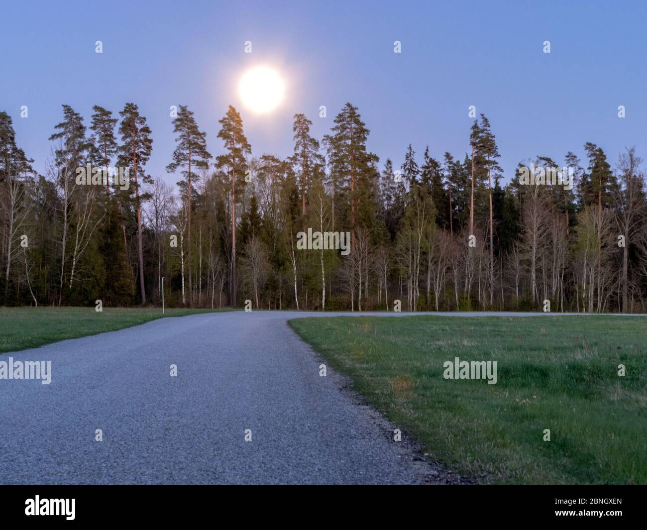 night landscape with moon jump over trees and road Stock Photo - Alamy