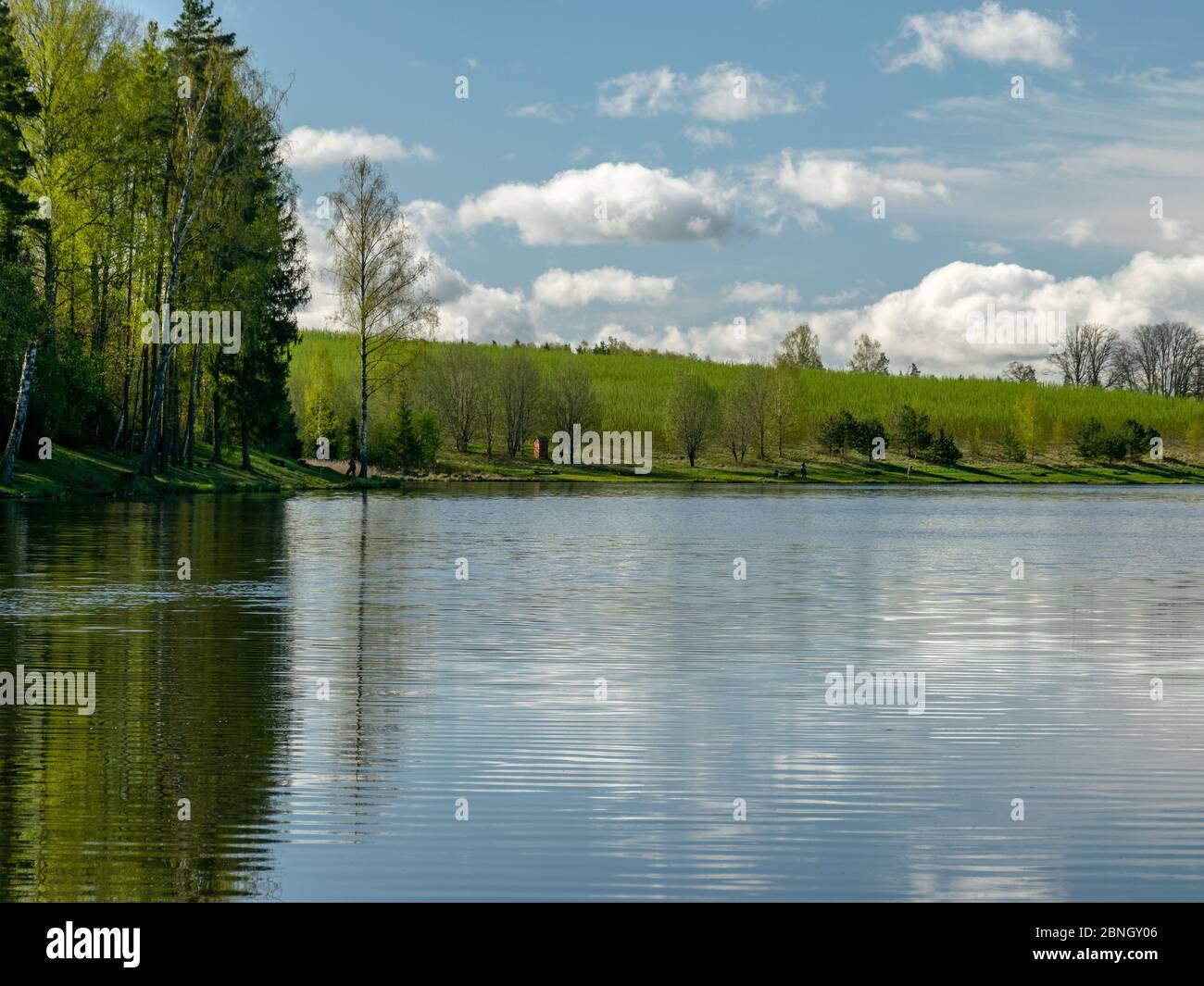 peaceful spring landscape with a clear lake and beautiful reflections ...