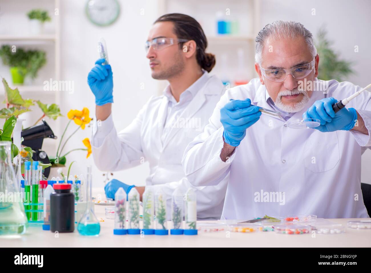 Two chemists working in the laboratory Stock Photo - Alamy