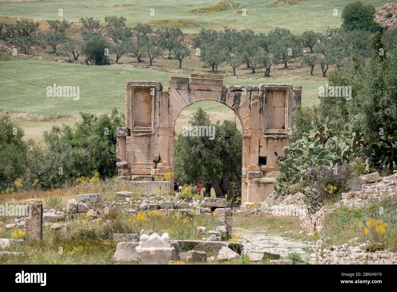 welcome to tunisia : dogga Stock Photo - Alamy