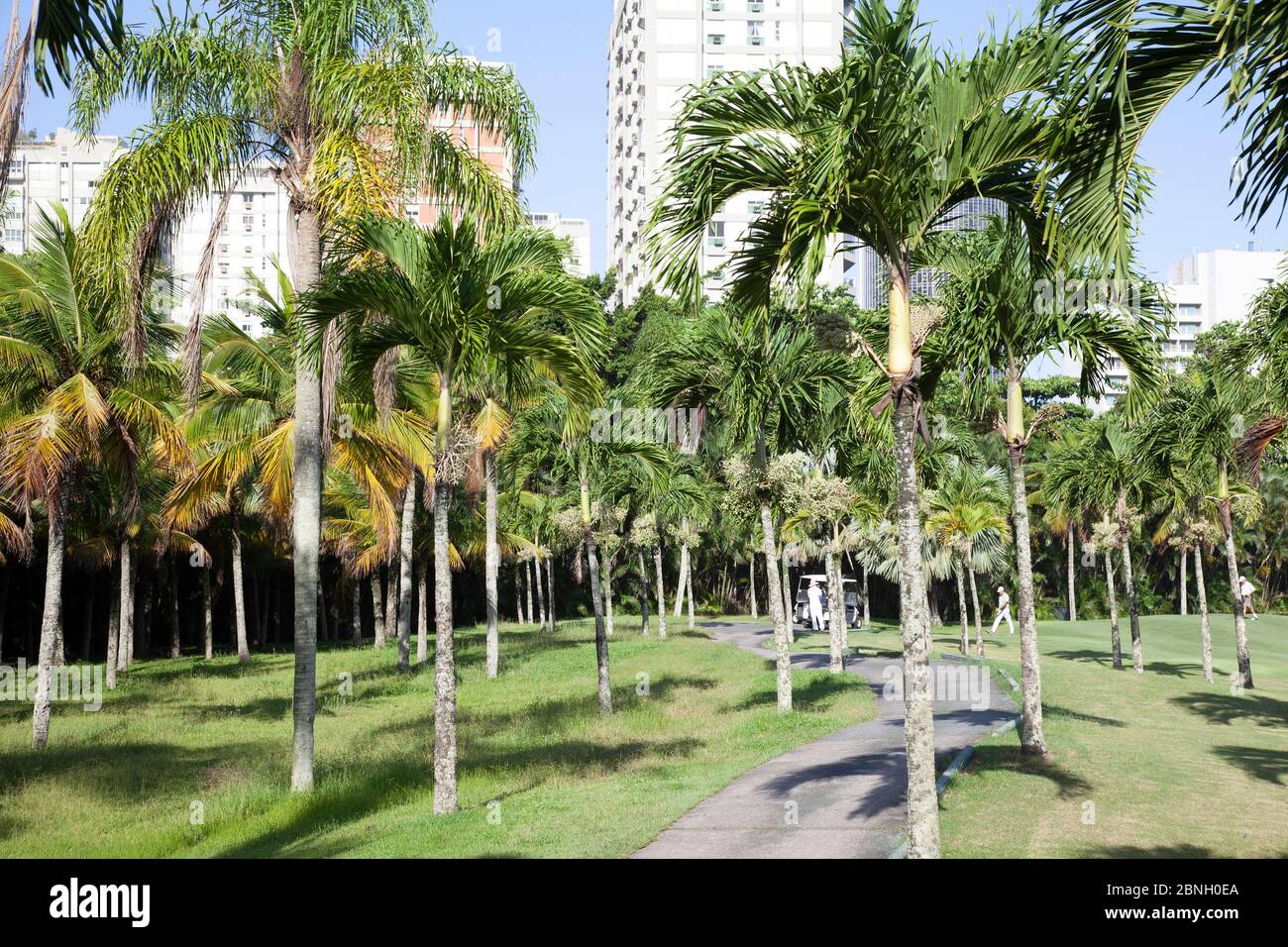Gavea golf and country club hi-res stock photography and images - Alamy