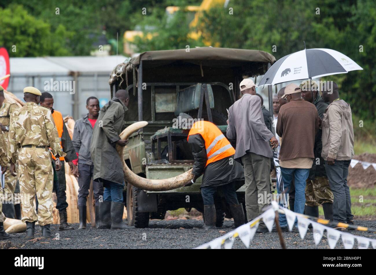 Loading an elephant hi-res stock photography and images - Alamy