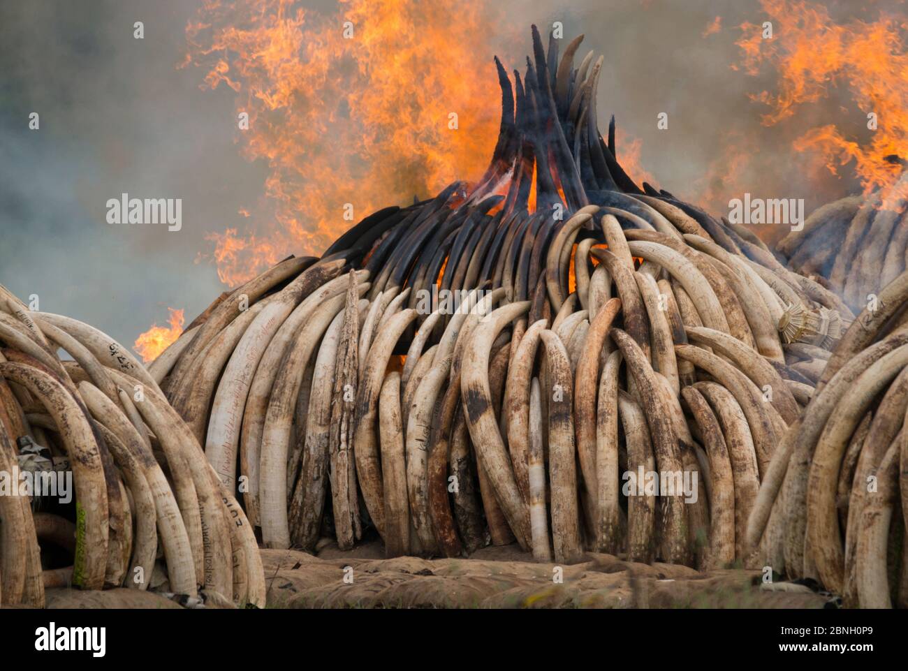 Kenya fire service hi-res stock photography and images - Alamy