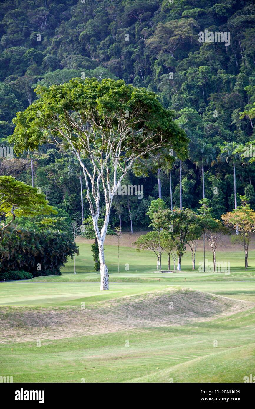 Gavea golf and country club hi-res stock photography and images - Alamy