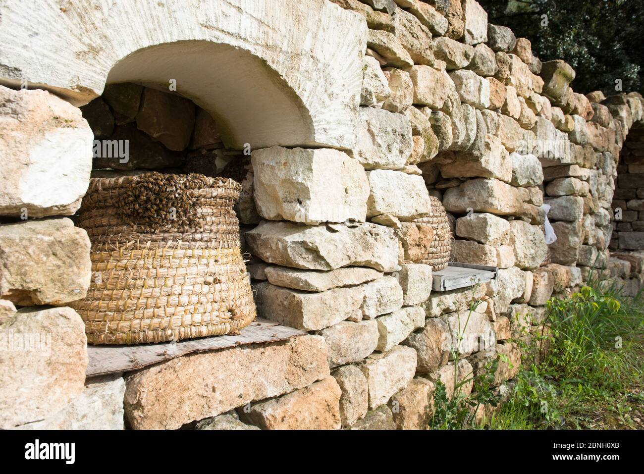 Straw beehives or skeps, in alcoves of wall, Alpilles, France, April ...