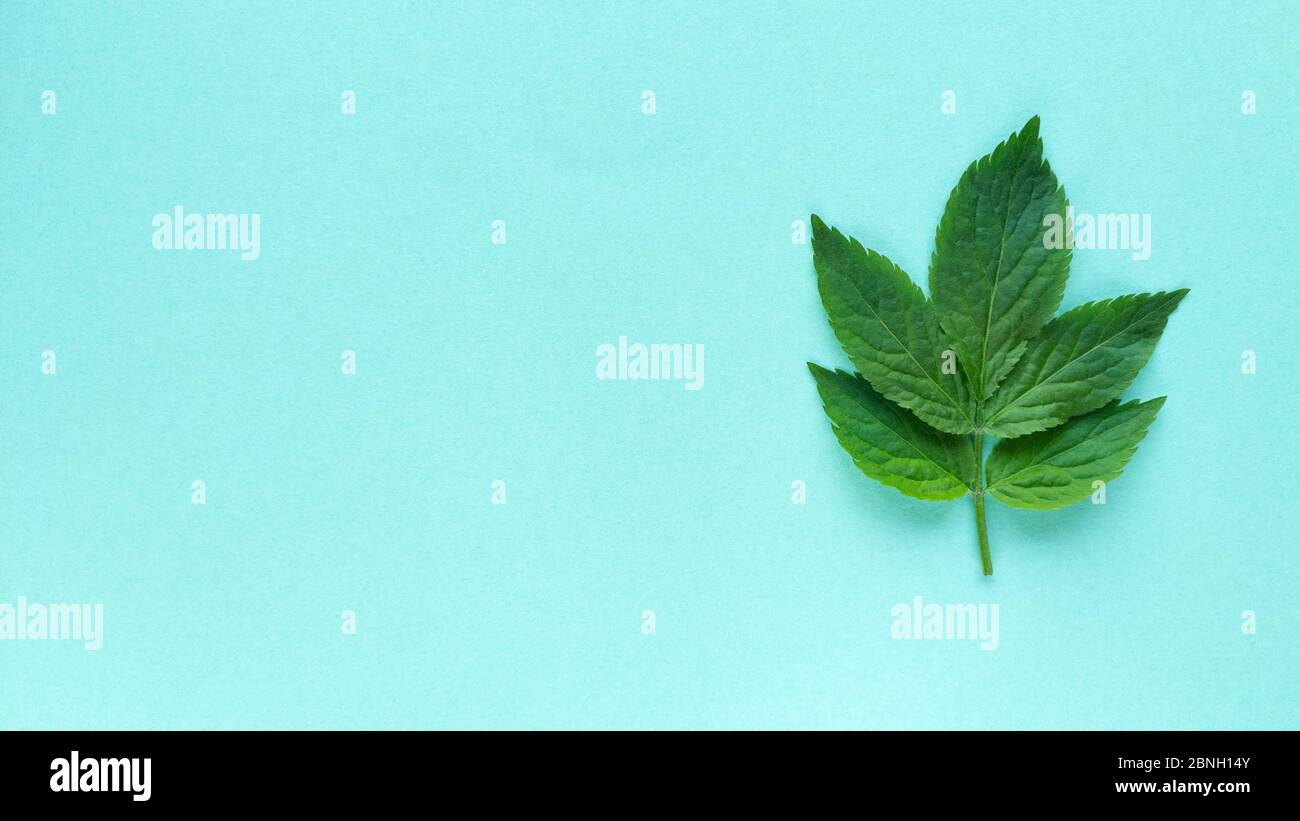 Pastel texture hi-res stock photography and images - Alamy