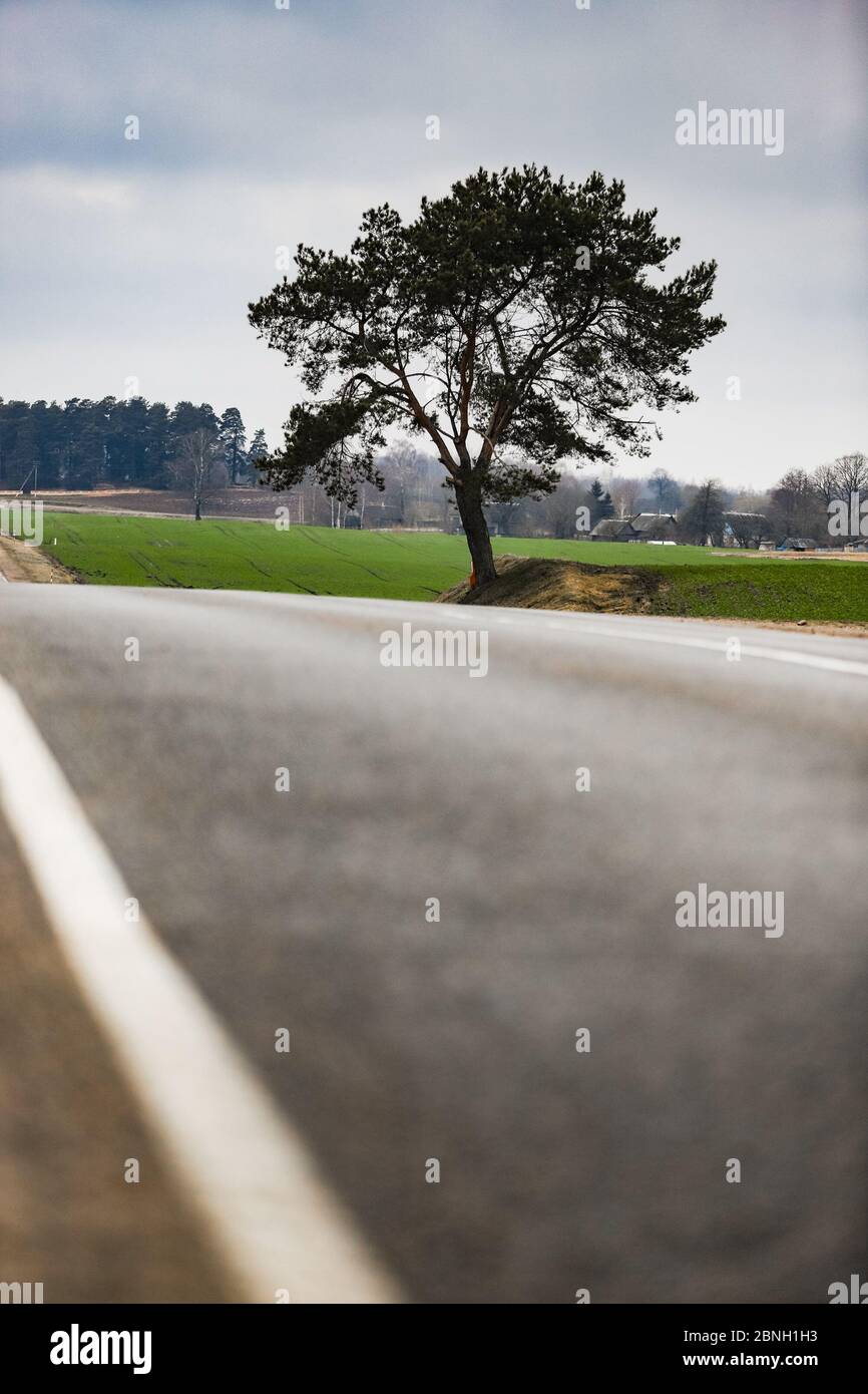 highway landscape with tree and road Stock Photo - Alamy