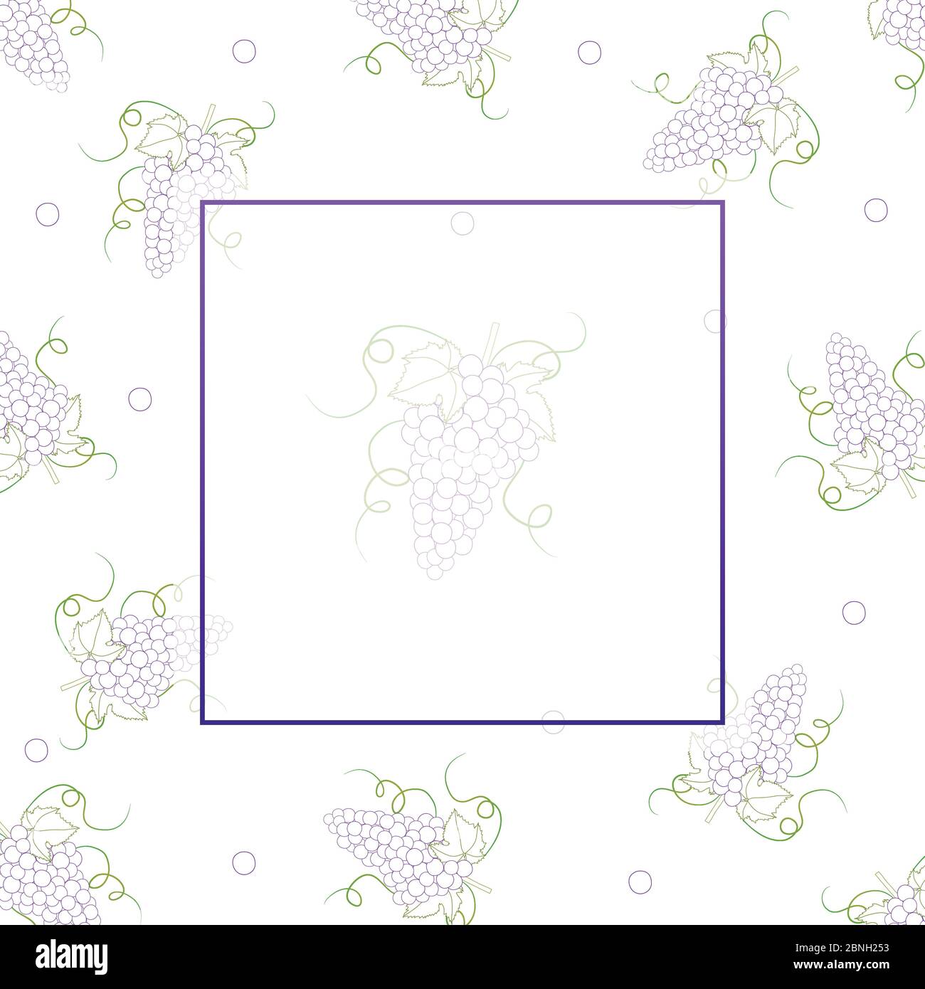 Colorful Line Grape Banner on White Background. Vector Illustration ...