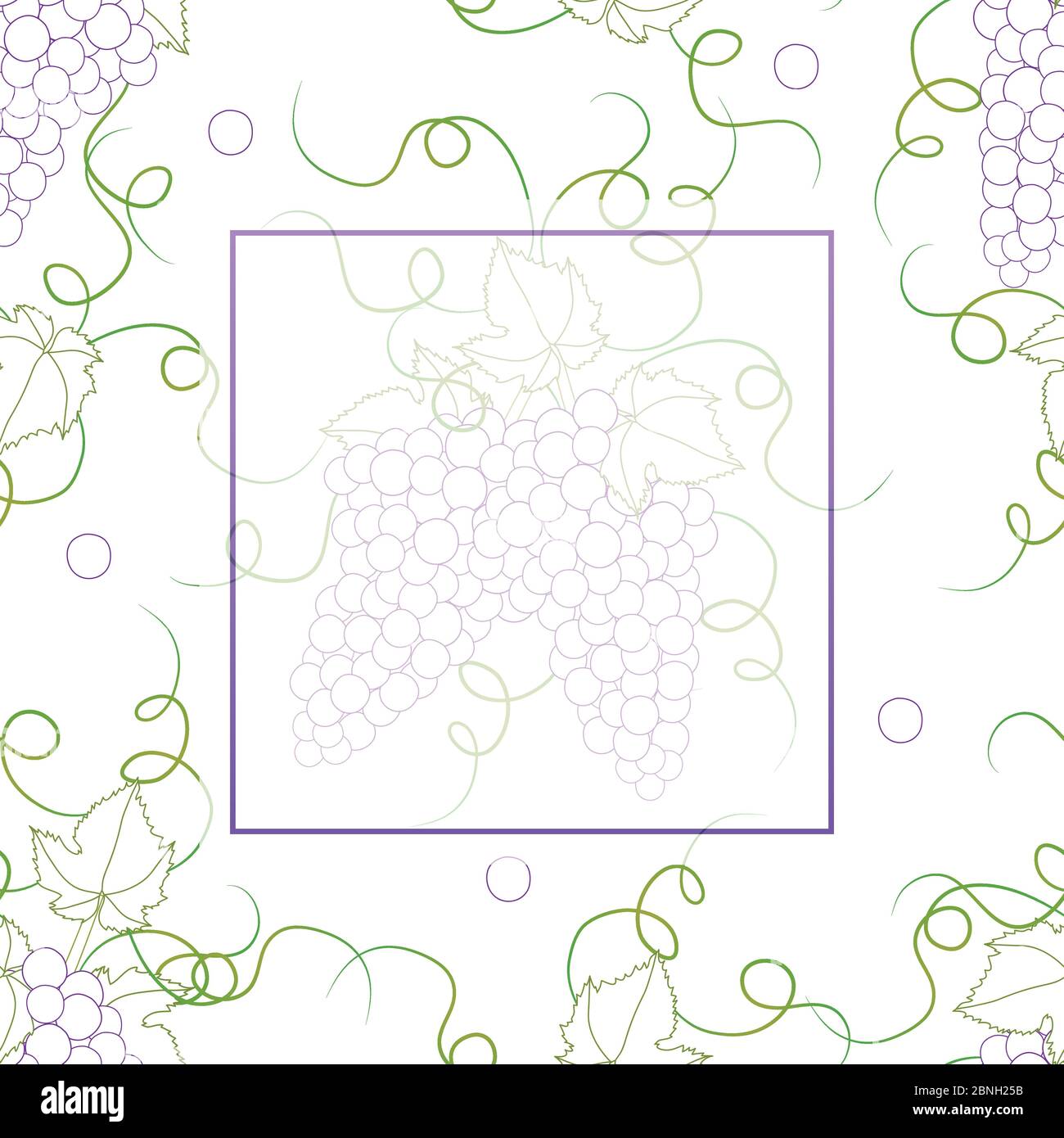 Colorful Line Grape Banner on White Background. Vector Illustration ...