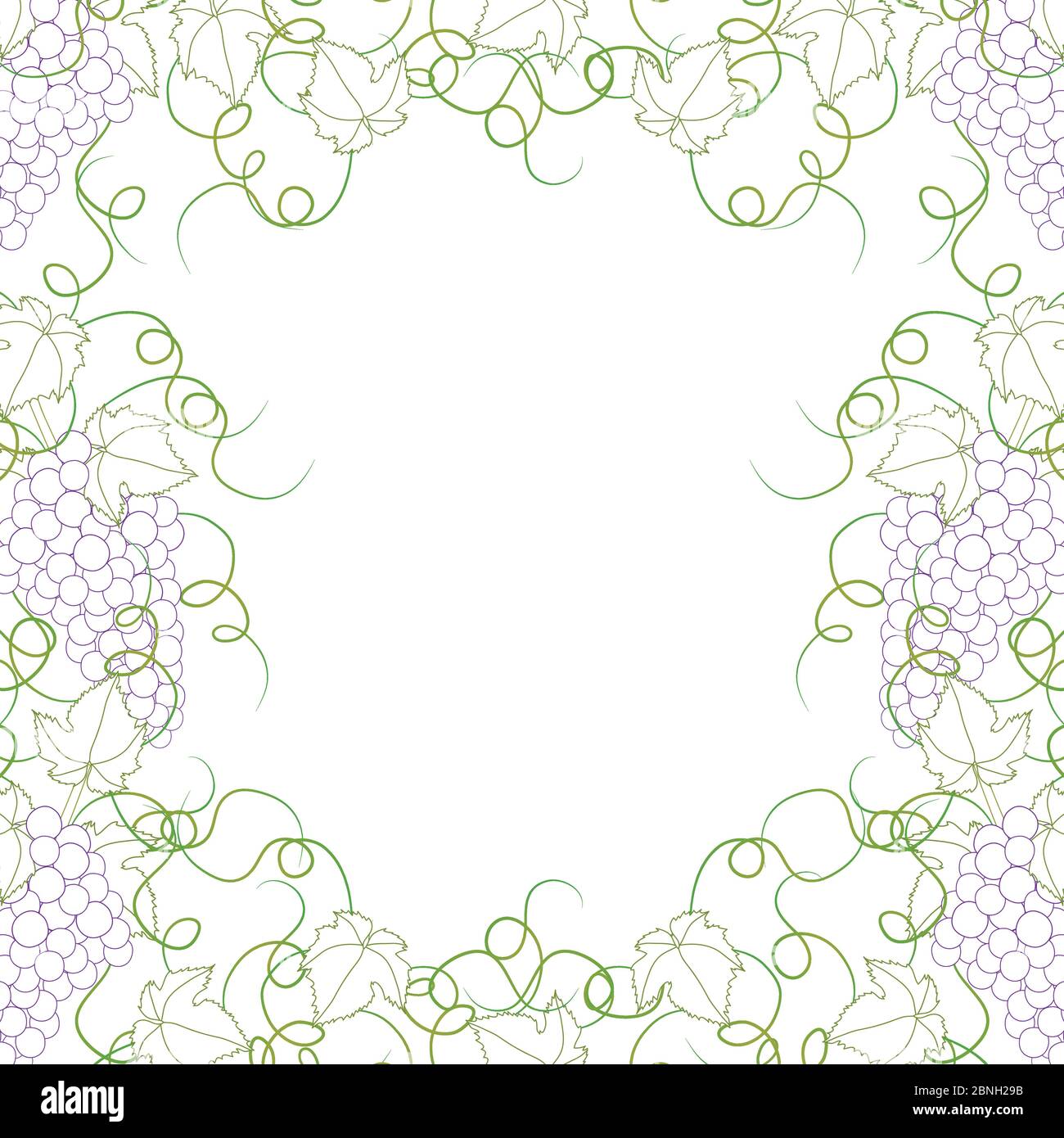 Colorful Line Grape Frame Vine on White Background. Vector Illustration ...