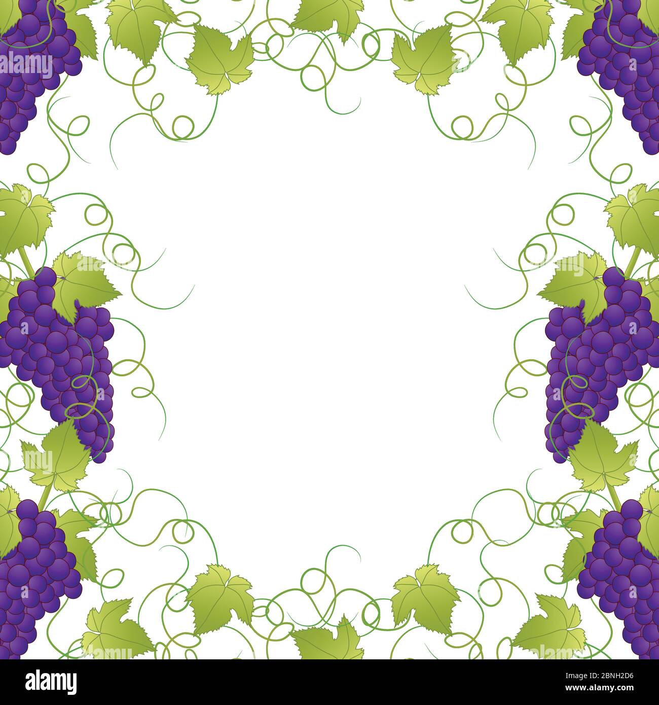 Purple Grape Frame Vine on White Background. Vector Illustration Stock ...