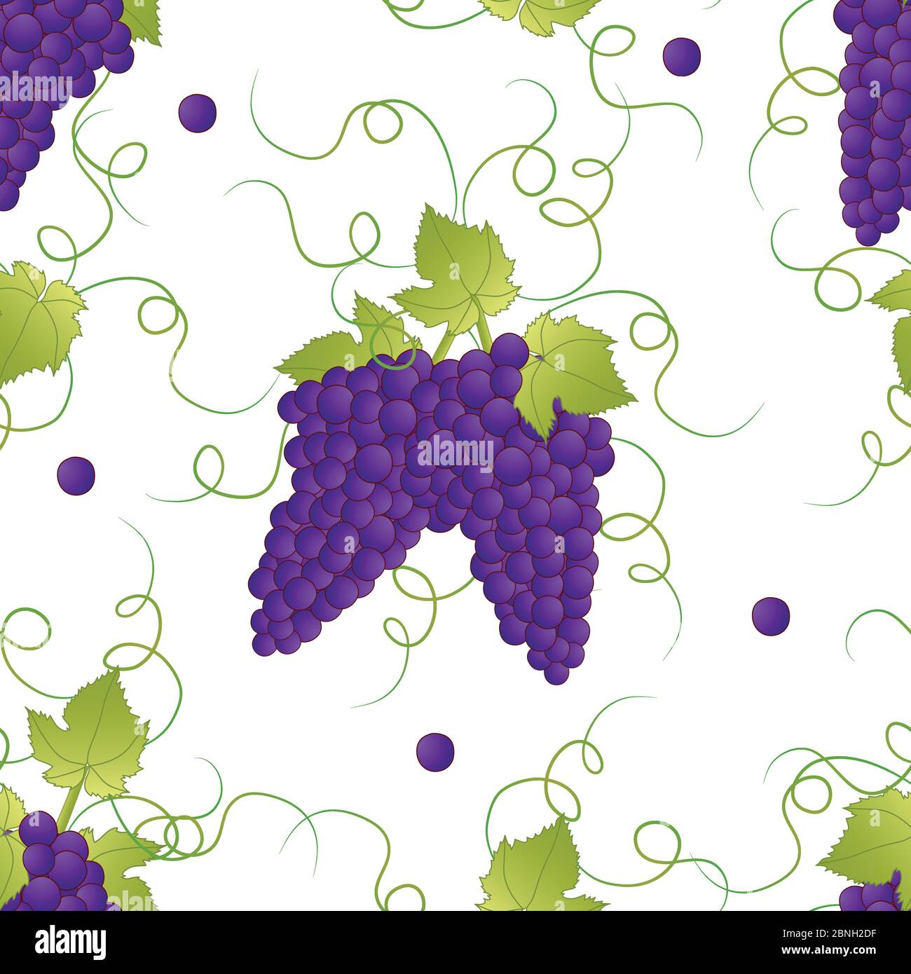 Pueple Grape Seamless on White Background. Vector Illustration Stock ...