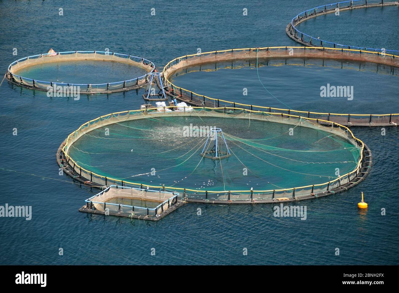 Landscape of fish farm with floating pens for Sea bass and Sea bream ...
