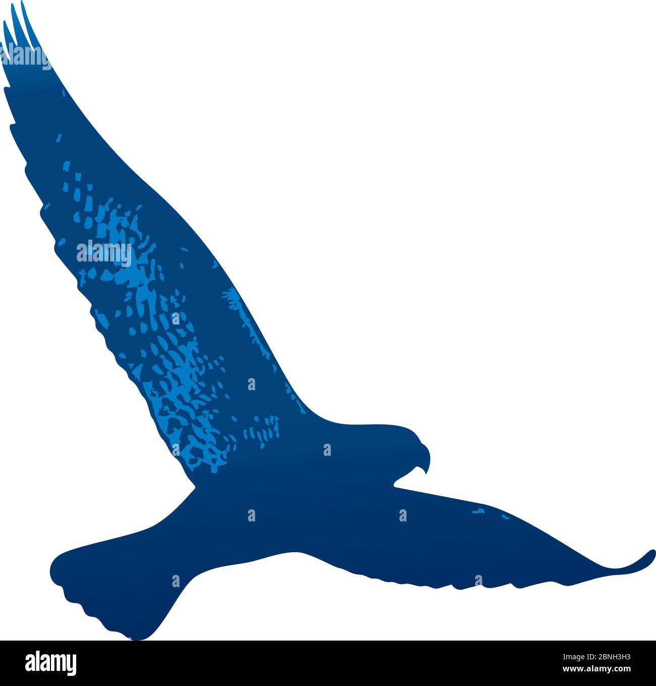 Vector illustration. Isolated flying hawk drawed in blue tones Stock ...